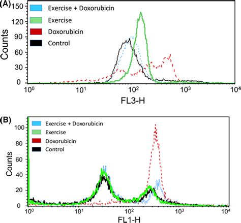 Exercise Reduced Doxorubicin Dox ‐induced Oxidative Stress After Download Scientific Diagram
