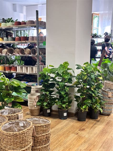 Jithin Jose On Linkedin Event Management Success Eventsmanager Management Sustainability…