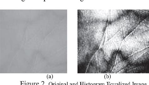 Figure 1 From Palmprint Identification Using Transform Domain And Spatial Domain Techniques