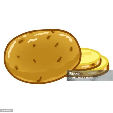 감자 일러스트 레이 션 생 감자 전체 뿌리 작물 얇게 썬 감자 조각 그리기 예술 벡터 감자 요리에 대한 스톡 벡터 아트 및 기타 이미지 감자 요리 건강한 생활방식