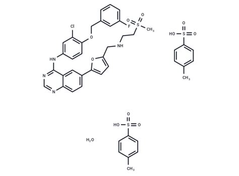 Lapatinib Ditosylate Monohydrate Ferroptosis Egfr Targetmol