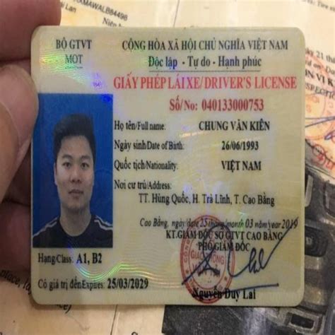 Labelimg Object Detection Dataset By Hai Ha