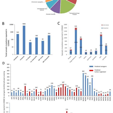 The Genes Identified By The Yeast Based Screening Belong To Several Download Scientific Diagram