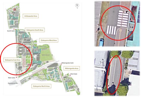 Encircled In Red Are The Scanning Location Left Taken From The Tokyo Download Scientific