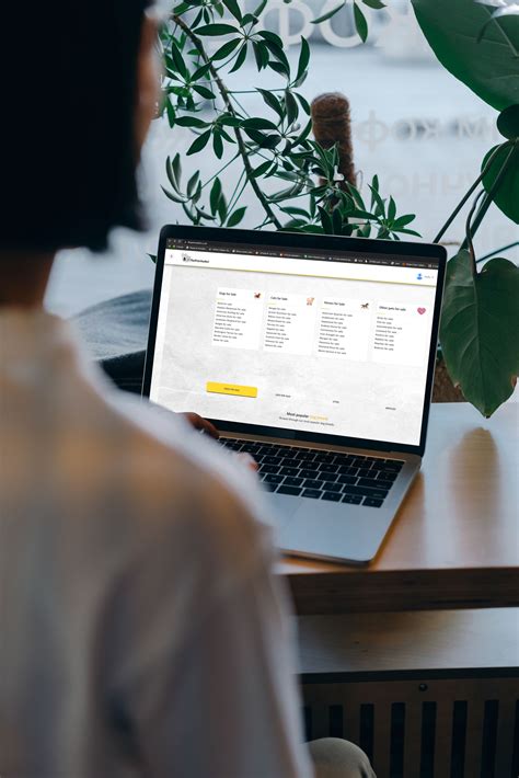 Портал за обяви за домашни любимци Изработка на сайт мобилно приложение онлайн магазин от