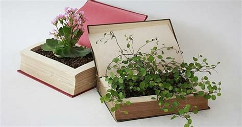 როგორ დავამზადოთ ქოთანი წიგნისგან Marao