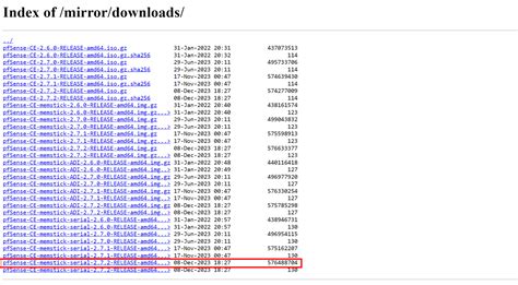 Adding Security To The Domain Name System Architecture Using Pfsense Firewall