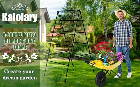 Kalolary A Shape Garden Trellis 6x3 Feet Stainless Steel Black