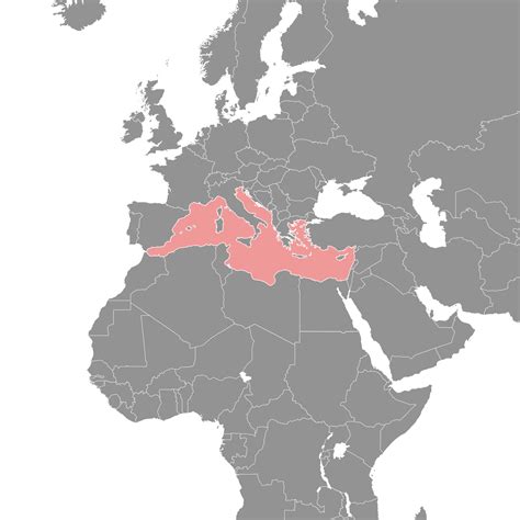 Mediterranean Sea On The World Map Vector Illustration 21117507