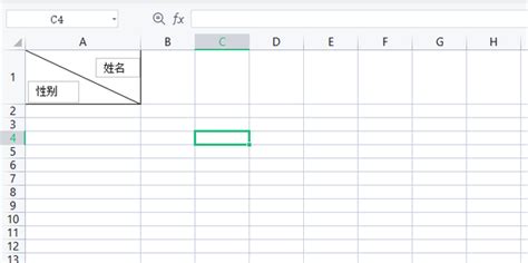 wps表格斜线一分为二怎么打字 新知