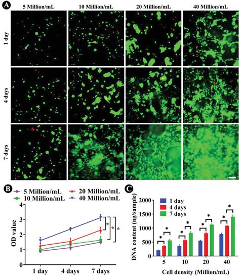 Utilization Of An Acellular Cartilage Matrix‐based Photocrosslinking Hydrogel For Tracheal