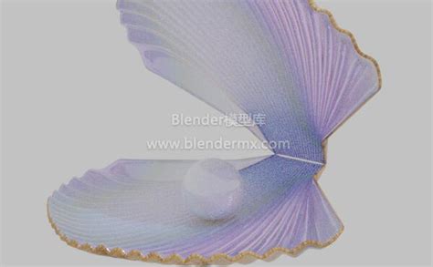 Blender 珍珠贝壳3d模型素材资源下载 Blender模型库