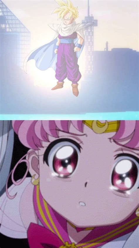 Chibiusa After Gohans Sacrifice By Vintik1 On Deviantart