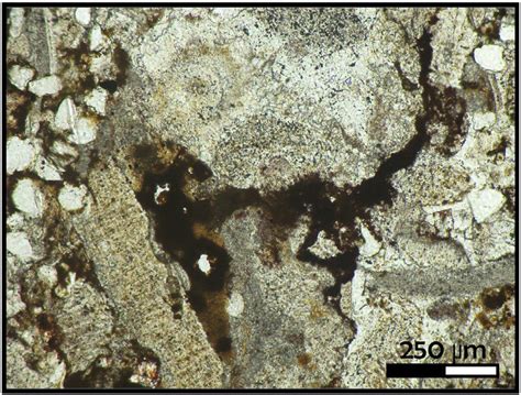 Thin Section Of The Weathered Limestone Obtained To The North Of The Download Scientific