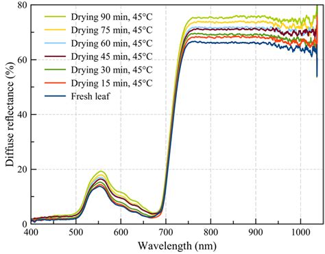 Diffuse Reflectance Spectra Measured In The Vis Nir Range Of Leaves Of