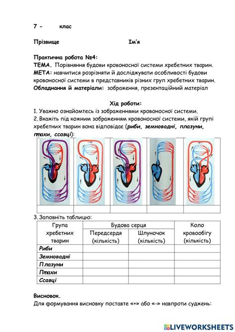 2284654 Практична робота Порівняння будови кровоносної