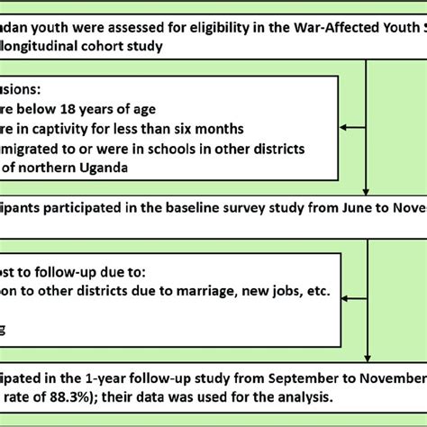 Flowchart Of Study Enrolment Download Scientific Diagram