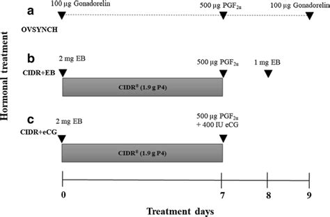 A Ovsynch B Cidr Eb And C Cidr Ecg Synchronization Protocols Used In Download Scientific