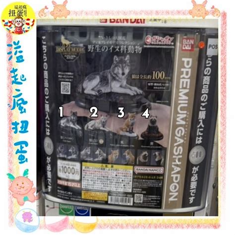 ♧溢起瘋扭蛋♧ Bandai Premium 轉蛋 扭蛋 生物大圖鑑 野狼 狼 野生 動物 犬科 高雄 鹽埕 蝦皮購物
