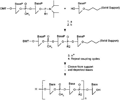 Solid Phase Coupling Of 2′ Deoxy R P Mp Chiral Dimer Synthons A Download Scientific Diagram
