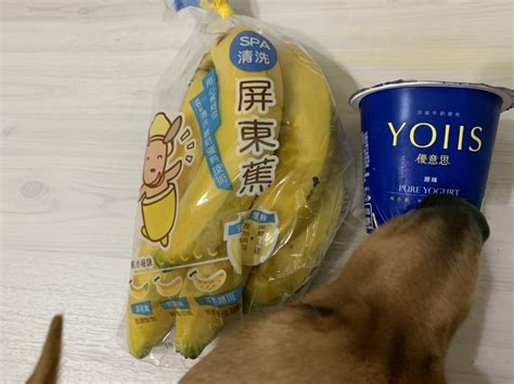 香蕉堅果優格 西軍食譜揭秘投稿區 全聯料理之王中西軍 ETtoday新聞雲