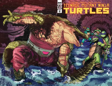Tmnt Vol V 143 Idw Tmnt A Collection