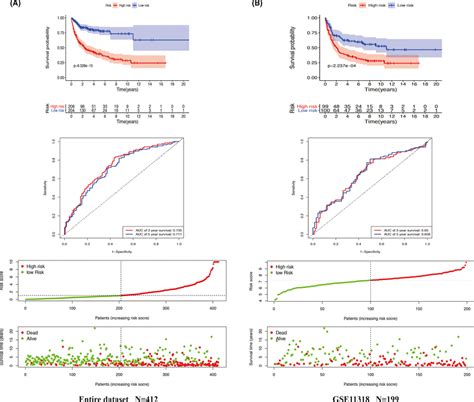 Validation Of Six‐rna Binding Protein Rbp Gene Signature In The Download Scientific Diagram
