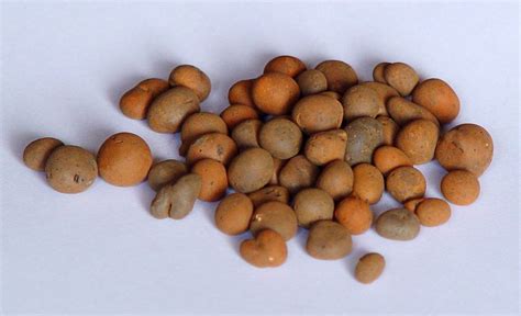 Arcilla Expandida Vivers Albogarden