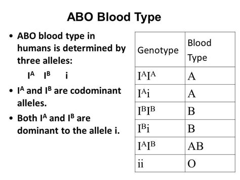 The Ultimate Guide To Understanding Codominance In Blood Types