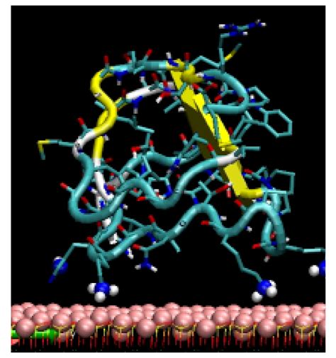 Molecular Dynamics Snapshot Of Prp Sc Anchorage On A Clay Basal Plane Download Scientific