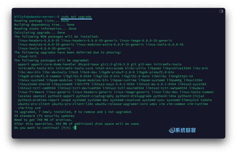 Linux Apt 命令实战教程：ubuntu、debian、mint 用户必备指南 系统极客