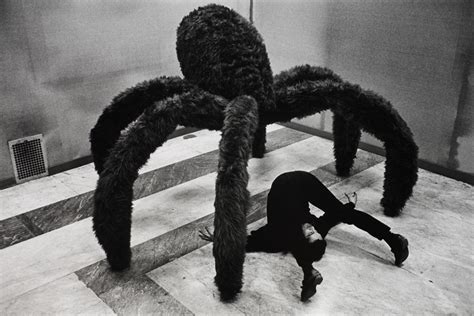 The Mating Ritual Of The Giant Fuzzy Tarantula Matthews Island