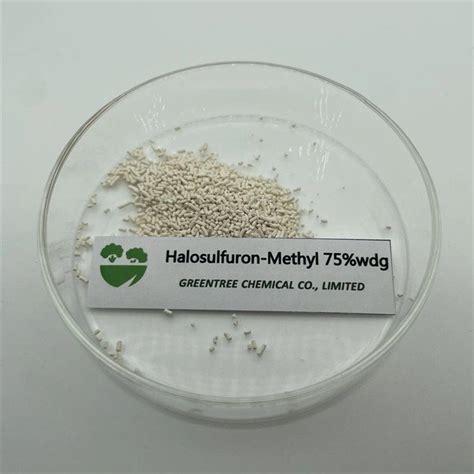 China Halosulfuron Methyl 75 Wdg Herbicide Weedicide For Broad Leaved