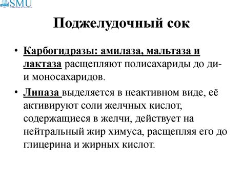 Участие поджелудочной железы и печени в пищеварении - презентация онлайн