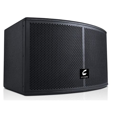 Passive Speaker C Psound Dk 510 C P Sound