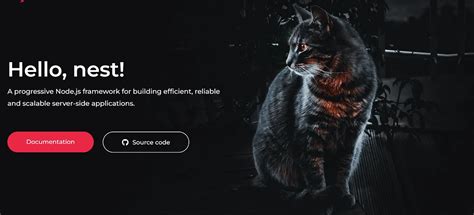 Running Reactjs With Nestjs Together By Bewar Salah Javascript In