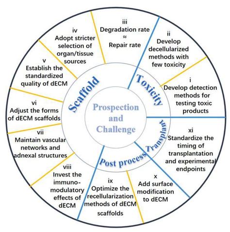 《生物活性材料》报道我校组织工程支架最新综述文章