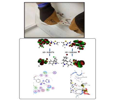 In Vitro And In Vivo Evaluation Of The Antimicrobial Antioxidant Cytotoxic Hemolytic