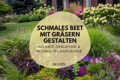 Schmales Beet Mit Gräsern Gestalten Perfekte Arten And Kombis