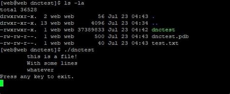 Creating And Trimming Self Contained Executables In Net Core A Detailed Guide Hackernoon