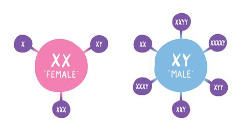 Intersex Chart