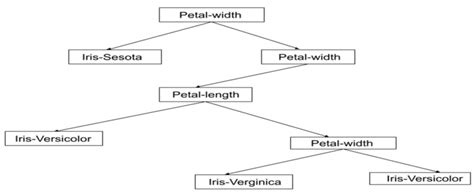 Represents The Architecture Of The Decision Tree To Recognise The Iris Download Scientific