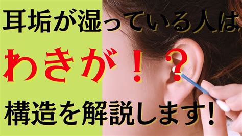 耳垢が湿っているのはなぜ？？構造を大解説 ～体臭、ワキガ、わきが～ Youtube