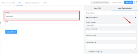 Set Default Form Value From Url Parameters Wp Manage Ninja