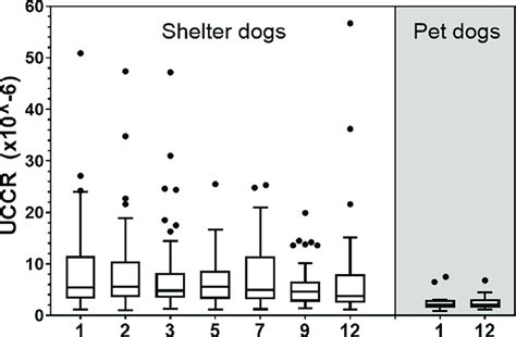 Urinary Cortisolcreatinine Ratio Uccr Results Box And Whisker