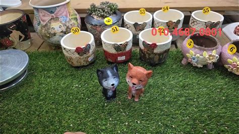 구매문의 01046870801매주 목요일밤 7시30분 실시간 다육판매다육 다육식물 다육이 다육이판매 다육이키우기 수제화분 실시간 선인장 제라늄 Youtube