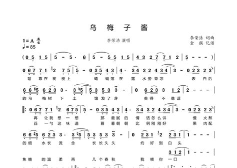 乌梅子酱简谱 李荣浩 琴谱网