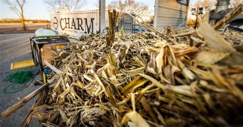 James Macphail On Linkedin Analysis Why Biomass Removals Credits Like Biochar Are Luring