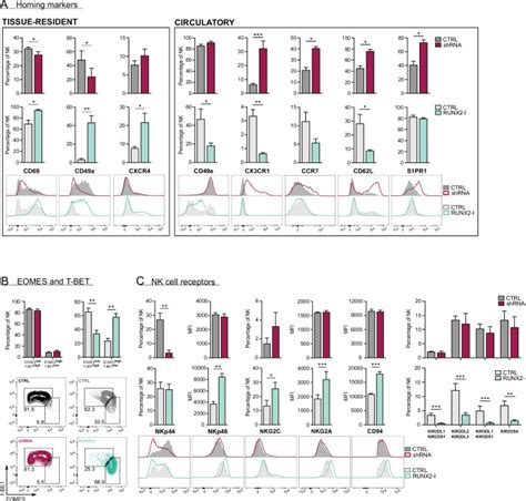 The Transcription Factor Runx2 Drives The Generation Of Human Nk Cells
