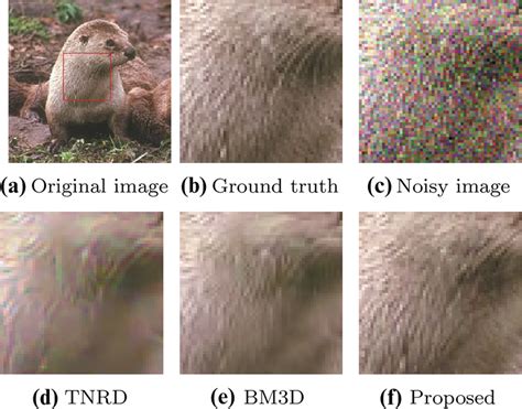denoising results for an image corrupted by the gaussian noise with